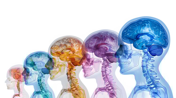 Iron Deficiency & Brain Development