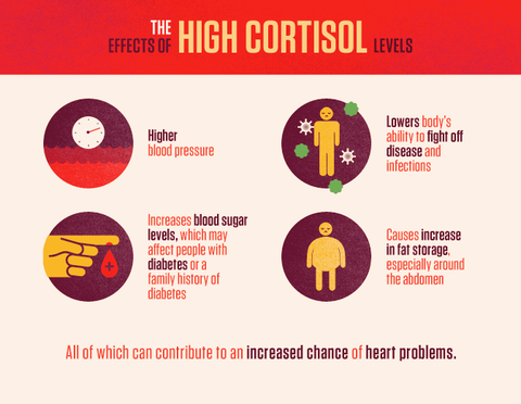 High Chronic Cortisol Levels Predict Cardiovascular Disease (CVD) in ...