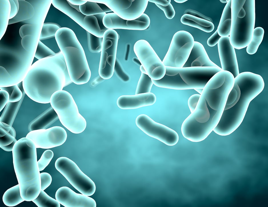 Butyrate Corrects Gut Microbiota Imbalance