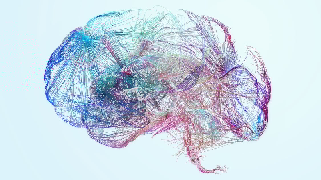 Sugar Processing in the Brain