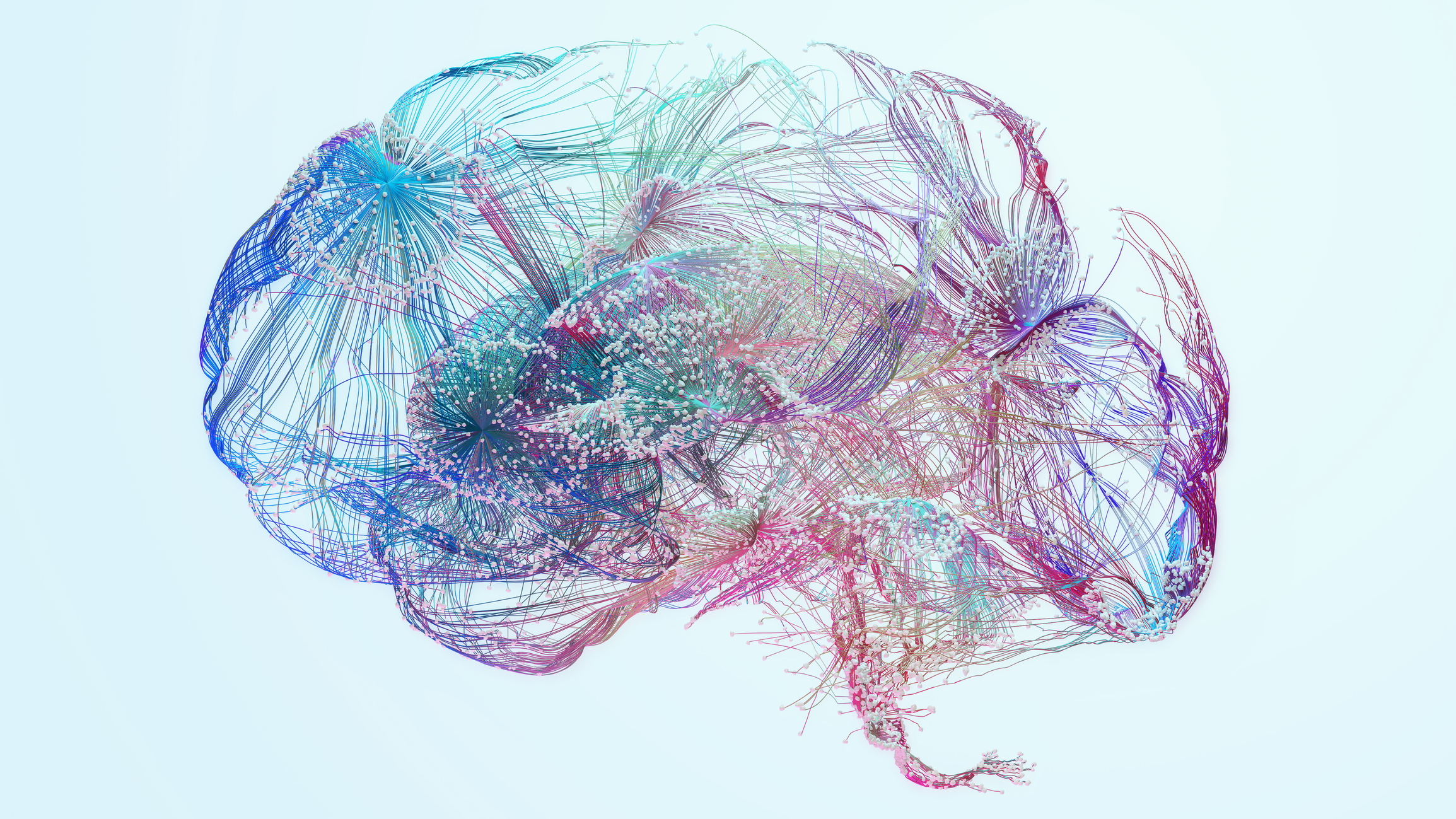 Sugar Processing in the Brain